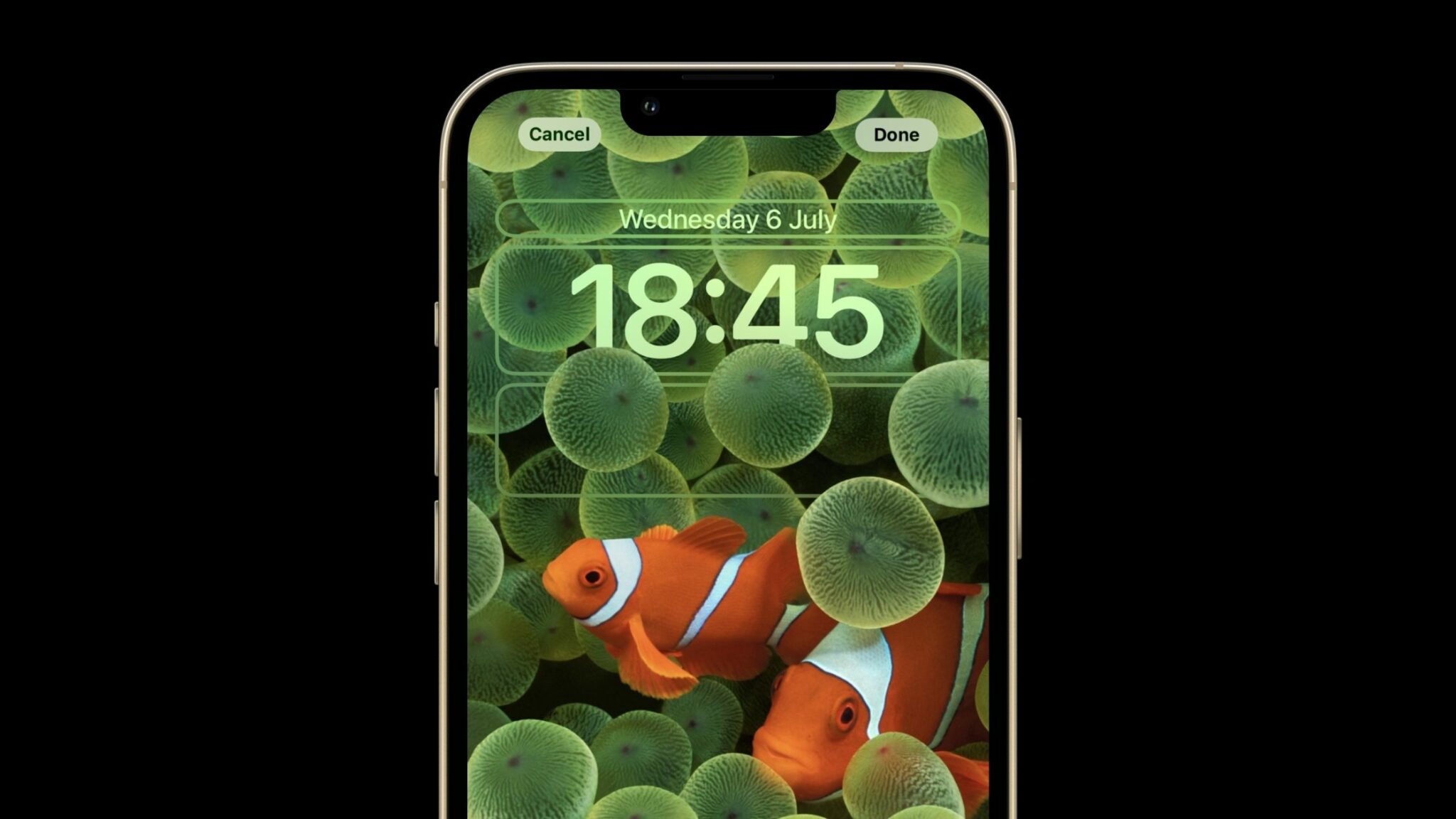 Apple brengt legendarische clownvis-wallpaper terug naar iOS 16 - iCreate