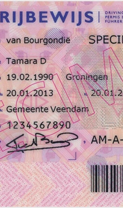 Rijbewijs-app in 2020 op je iPhone - iCreate