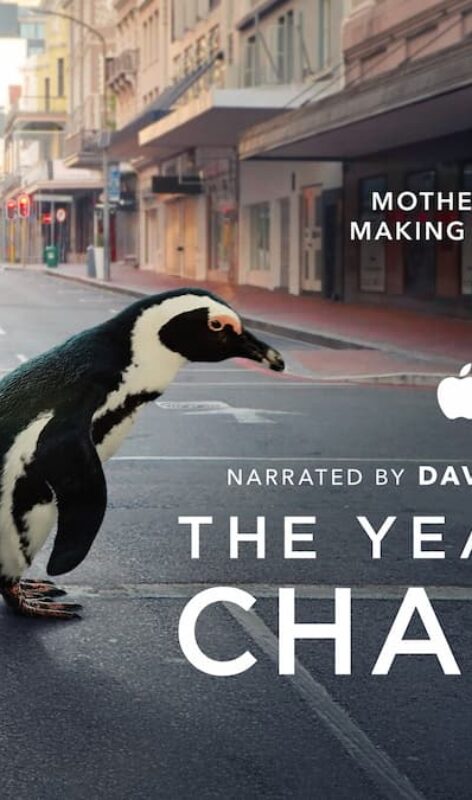 David Attenborough-docu op Apple TV+: The Year Earth Changed - iCreate