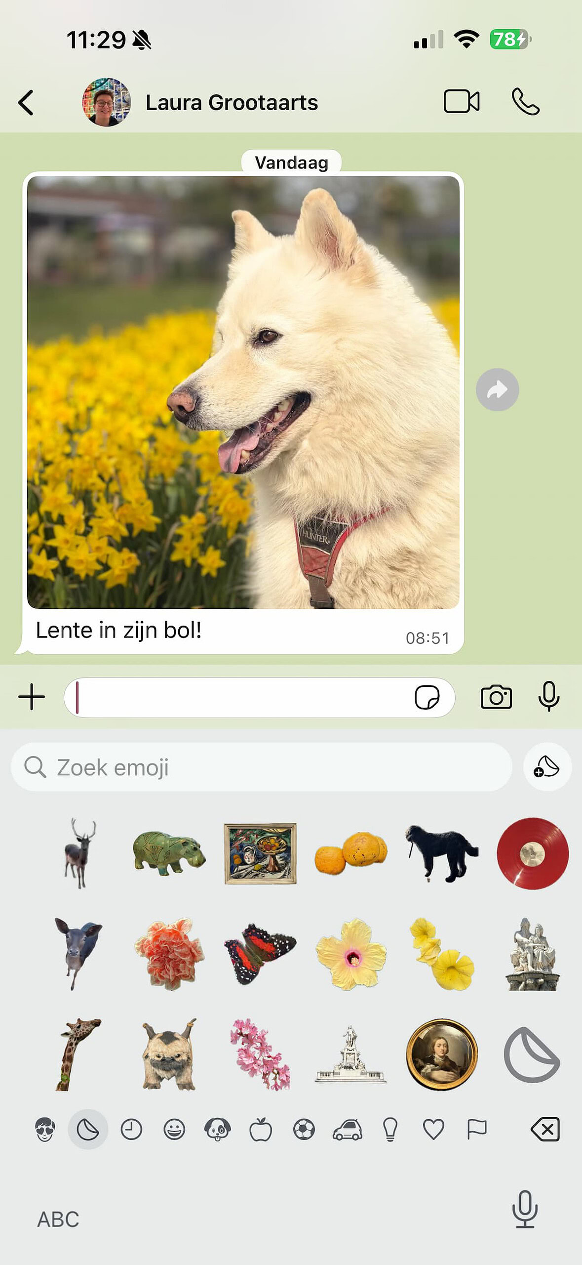 Reageer met GIF'jes en (bewegende) stickers in WhatsApp